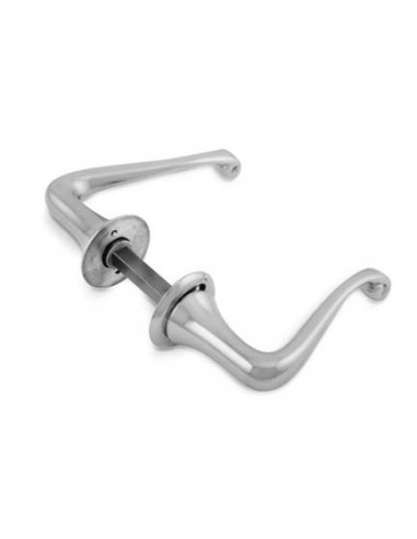 Manecilla de Puerta Casa Batlló